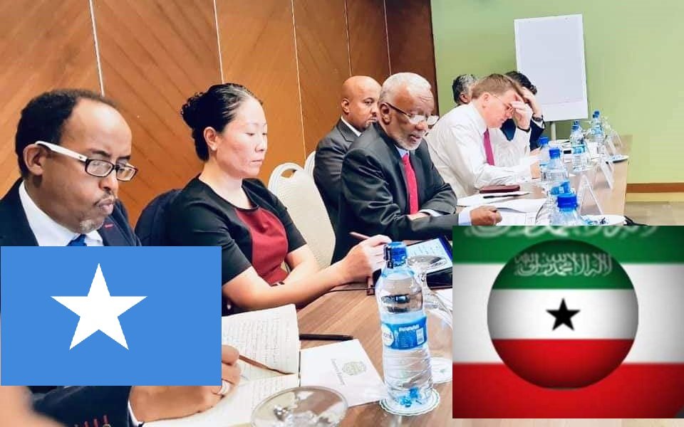 DAAWO: Xukuumada Somaliland Oo Ka Hadashay Sababta Somaliya Uga Qayb Galiwayday Wada Hadaladii ...